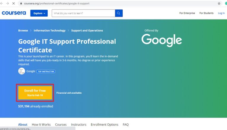 Google IT Support Certificate Cost