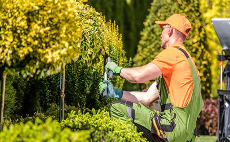 How much is Landscaping Insurance?