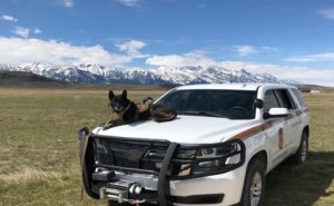 How to Become a Park Ranger?