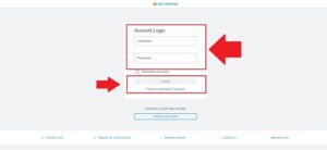 How to Check Netspend balance?