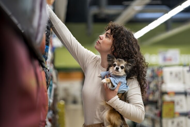 How does the PetSmart Return Policy without Receipt?